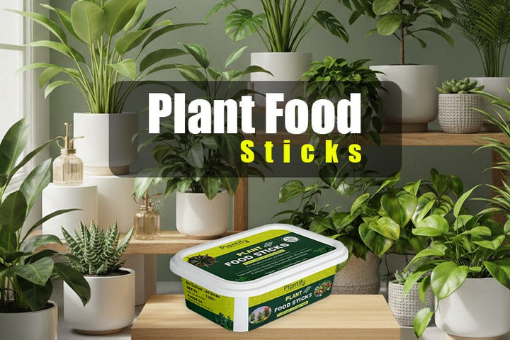 Best Plant Food Sticks for Healthy Indoor Plants – Plantify Garden