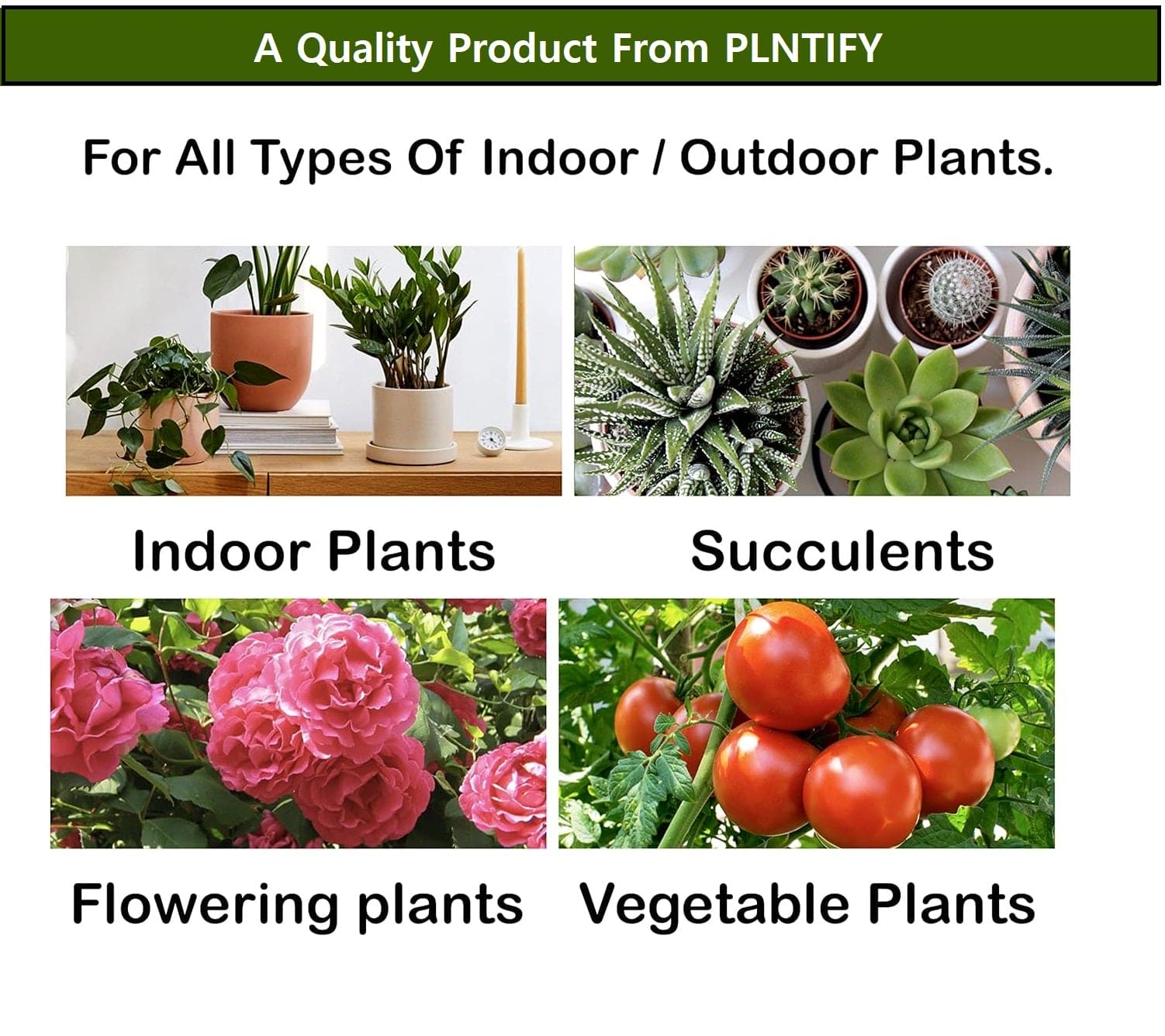 Plantify Plants Food Sticks – Plantify Garden