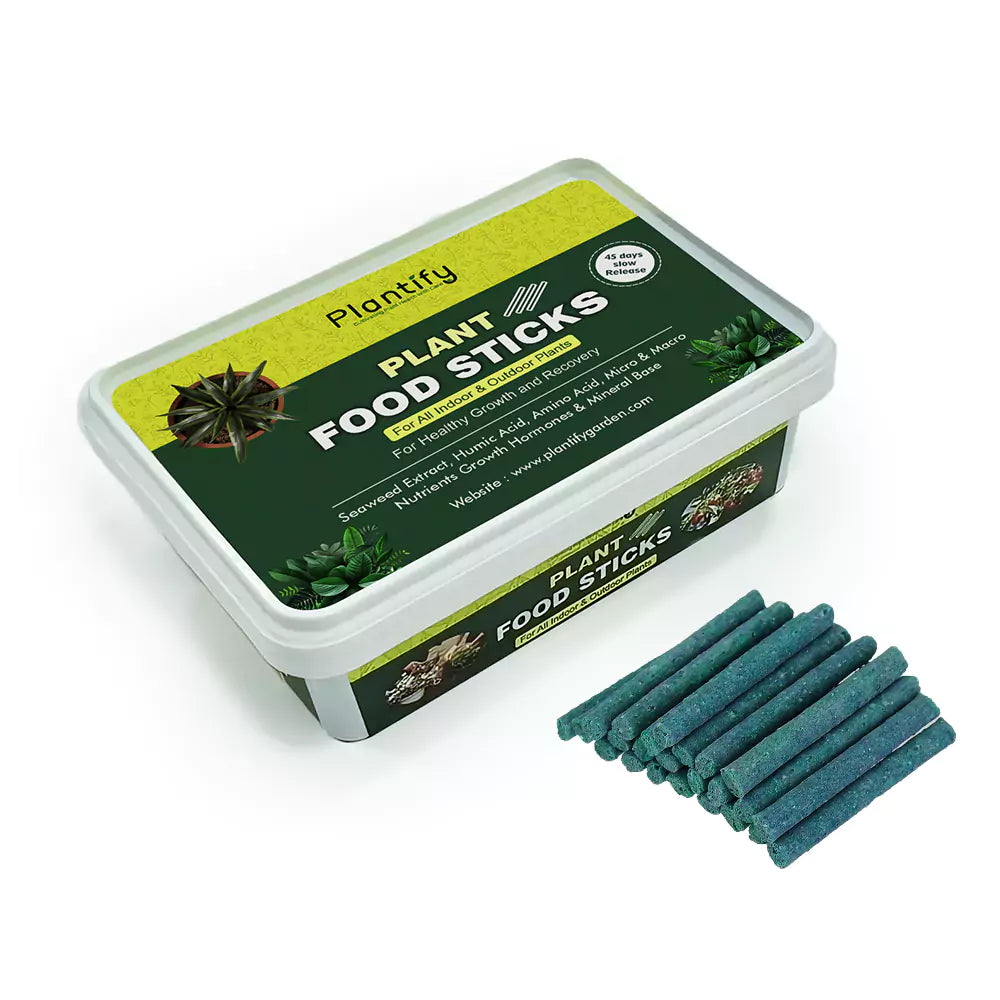 Plant Food Sticks - All-Purpose Plant Nutrition – Plantify Garden
