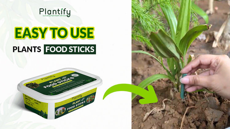 Plant Food Sticks - All-Purpose Plant Nutrition – Plantify Garden